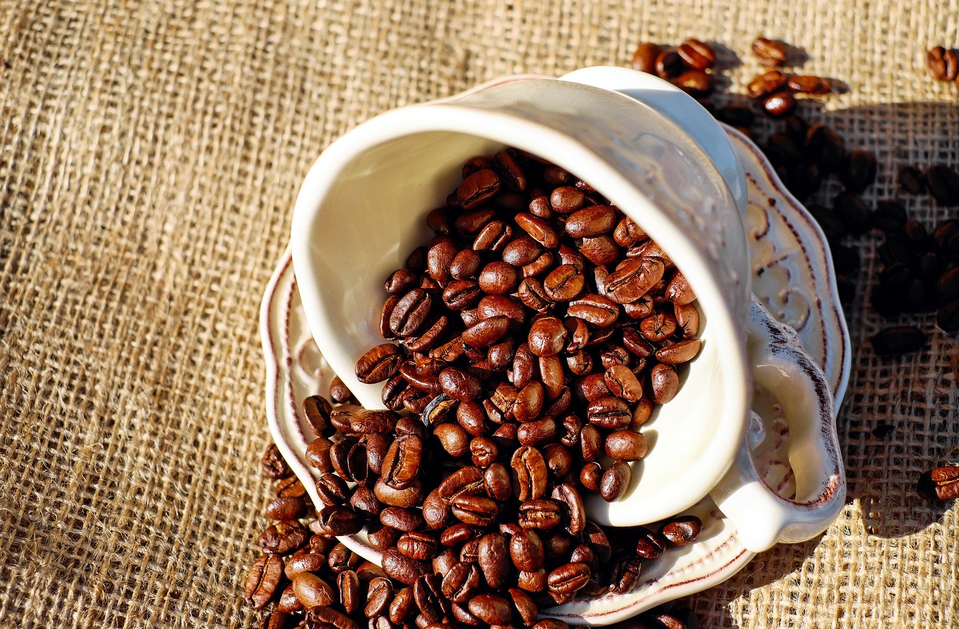 Cafés do Brasil exportam 40,6 milhões de sacas e perfazem novo recorde ...
